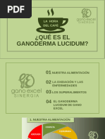 Vaquita Coloring Book Spanish2012 | PDF | Cetáceos | Mamíferos marinos