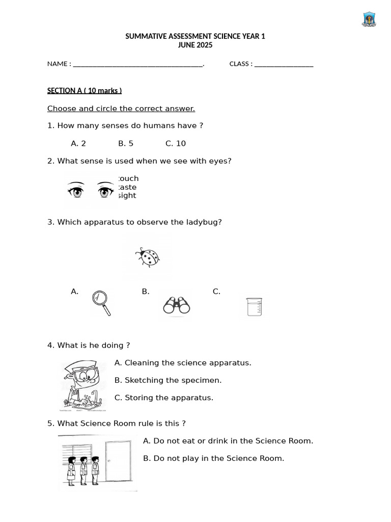 Year 1 Science Assessment June 2025 | PDF | Senses | Chess Openings