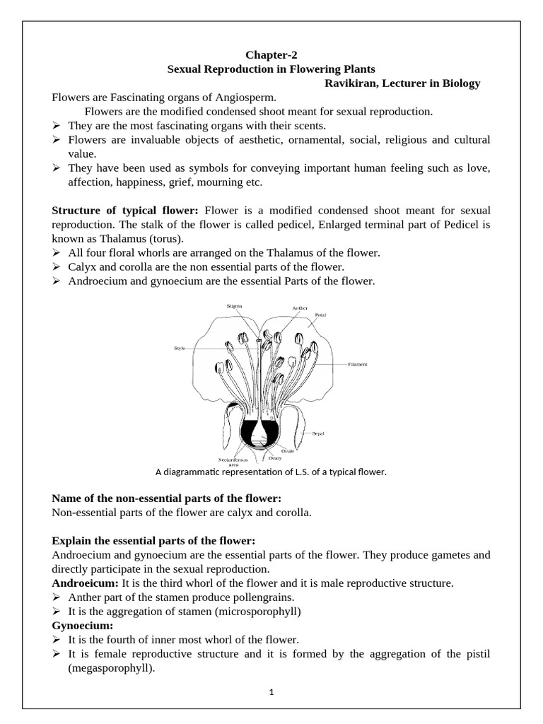 2.sexual Reproduction in Flowering Plants | PDF | Seed | Flowers
