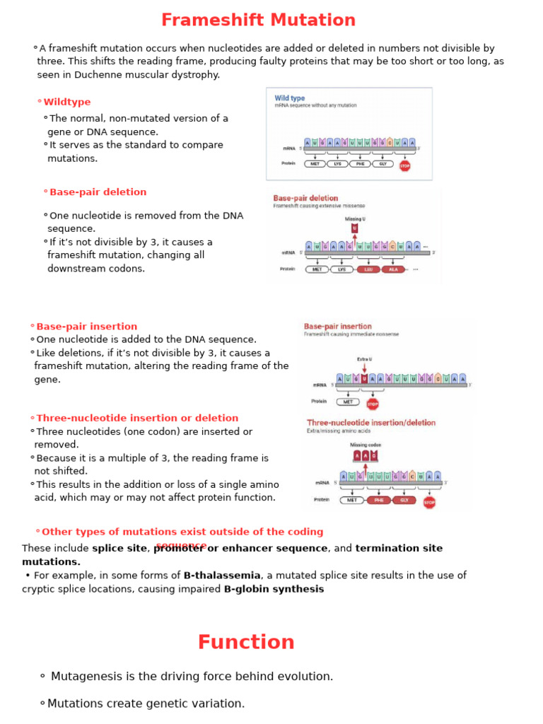 Frameshift Mutation | PDF | Mutation | Mutagenesis