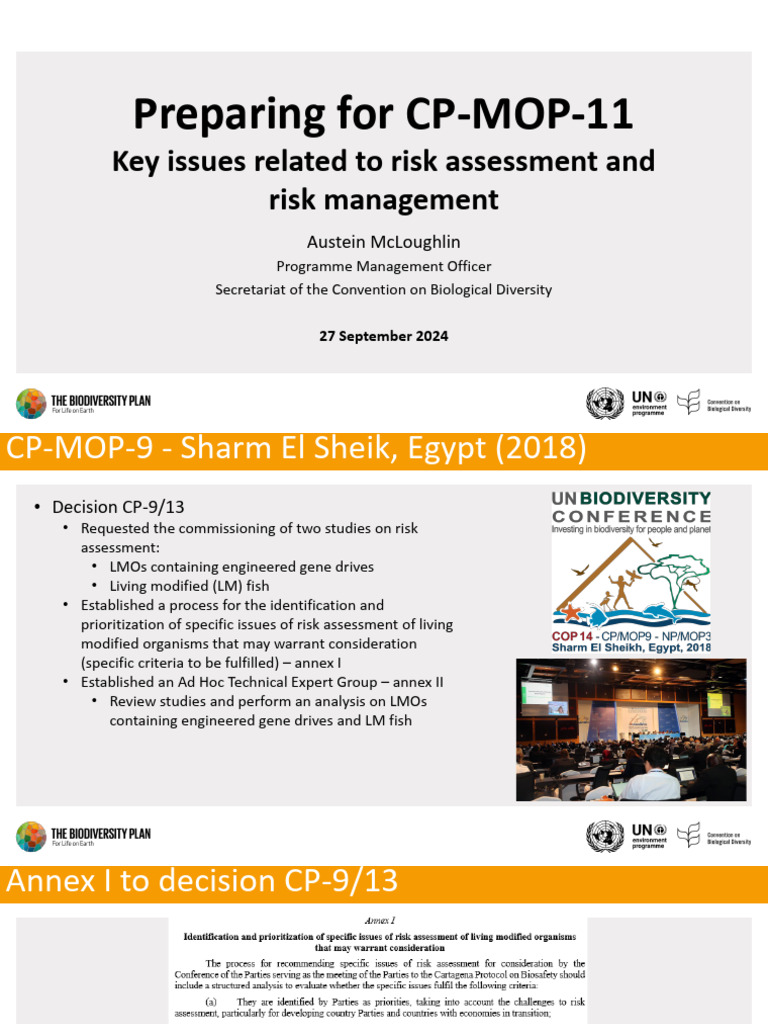 Preparing For CP-MOP 11 - Key Issues Related To RARM - Mr. Austein ...