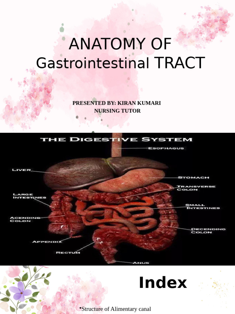 Anatomy of Gi System | PDF | Stomach | Digestion