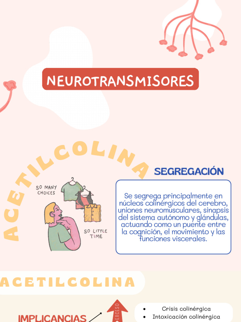 NEUROTRANSMISORES | PDF | Dopamina | Norepinefrina