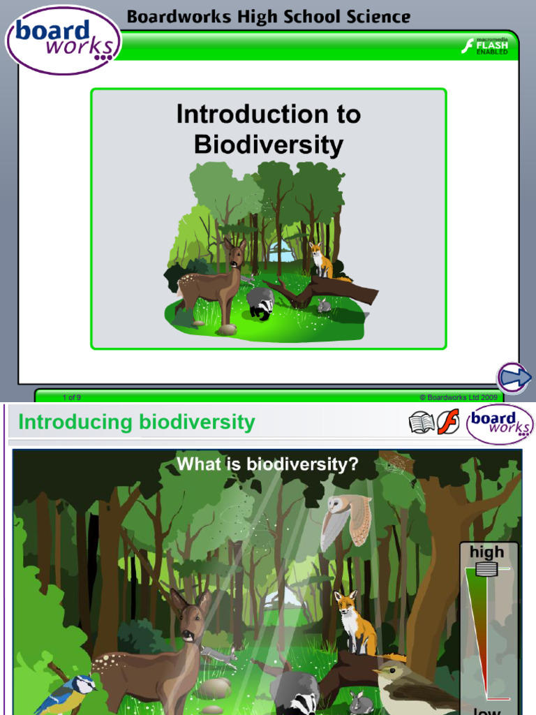 Introduction To Biodiversity | PDF | Hybrid (Biology) | Species