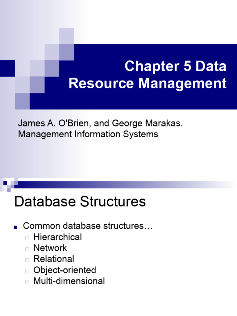 Chapter 5 Data Resource Management | PDF | Databases | Data Warehouse