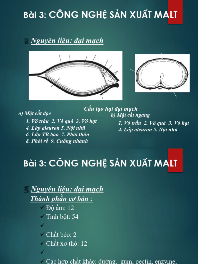 B4,5. CNSX Malt Va Bia | PDF