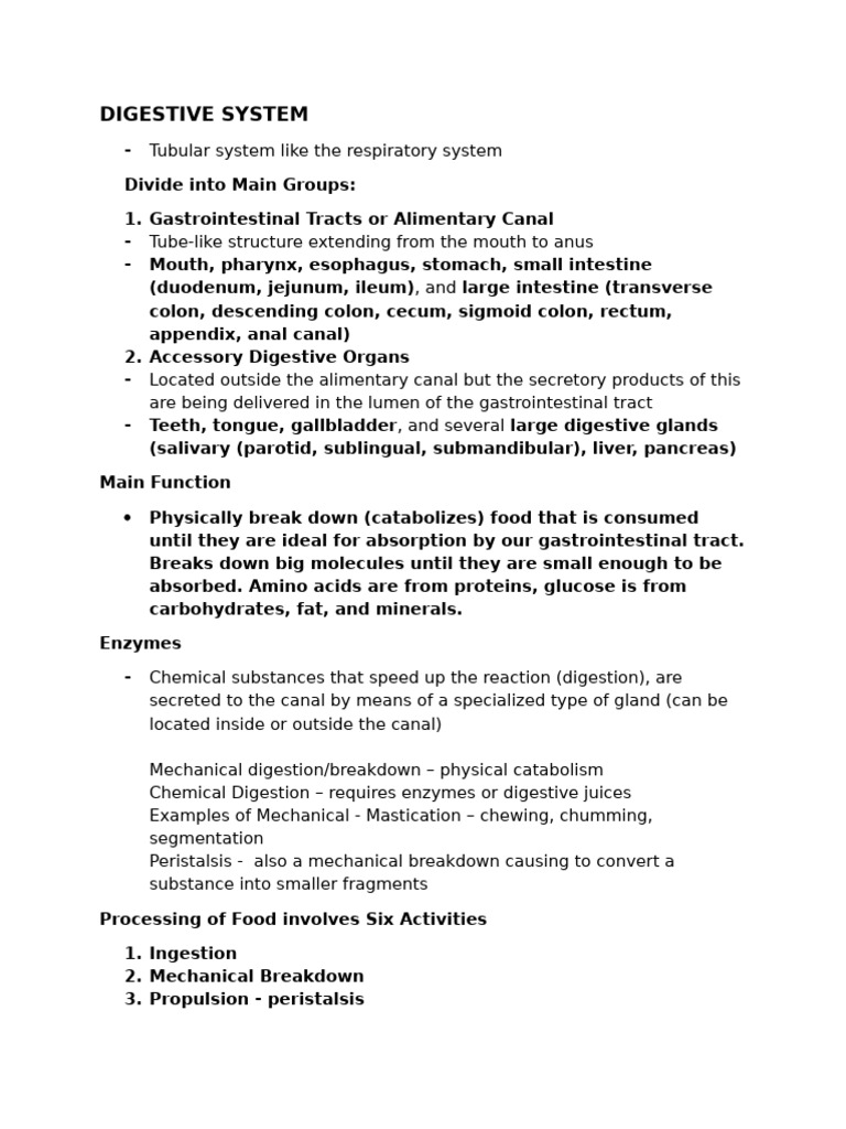Overview of the Digestive System | PDF | Digestion | Gastrointestinal Tract