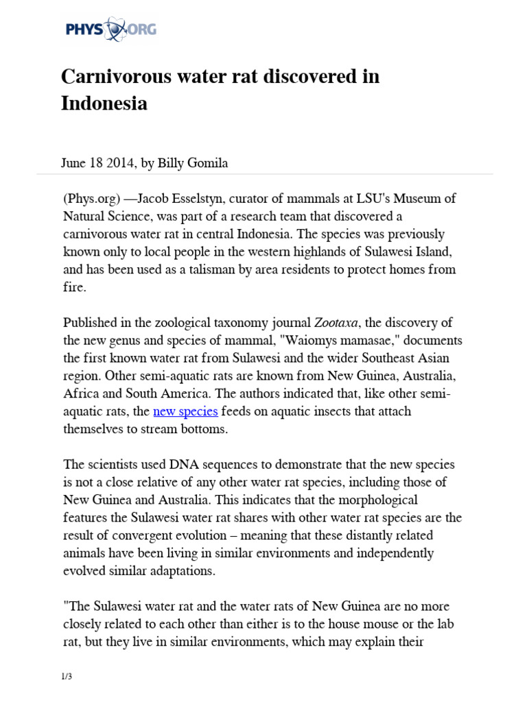 2014 06 Carnivorous Rat Indonesia | PDF | Species | Rat