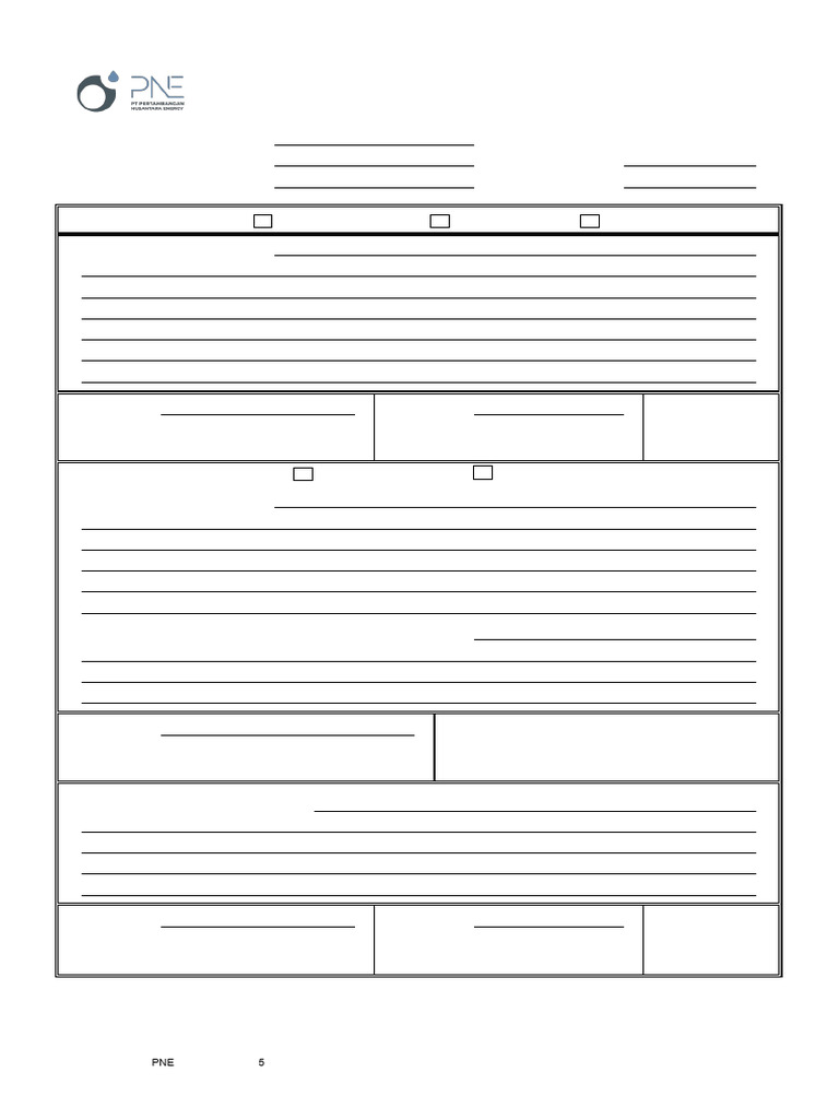 Formulir Laporan Temuan Audit PNE | PDF