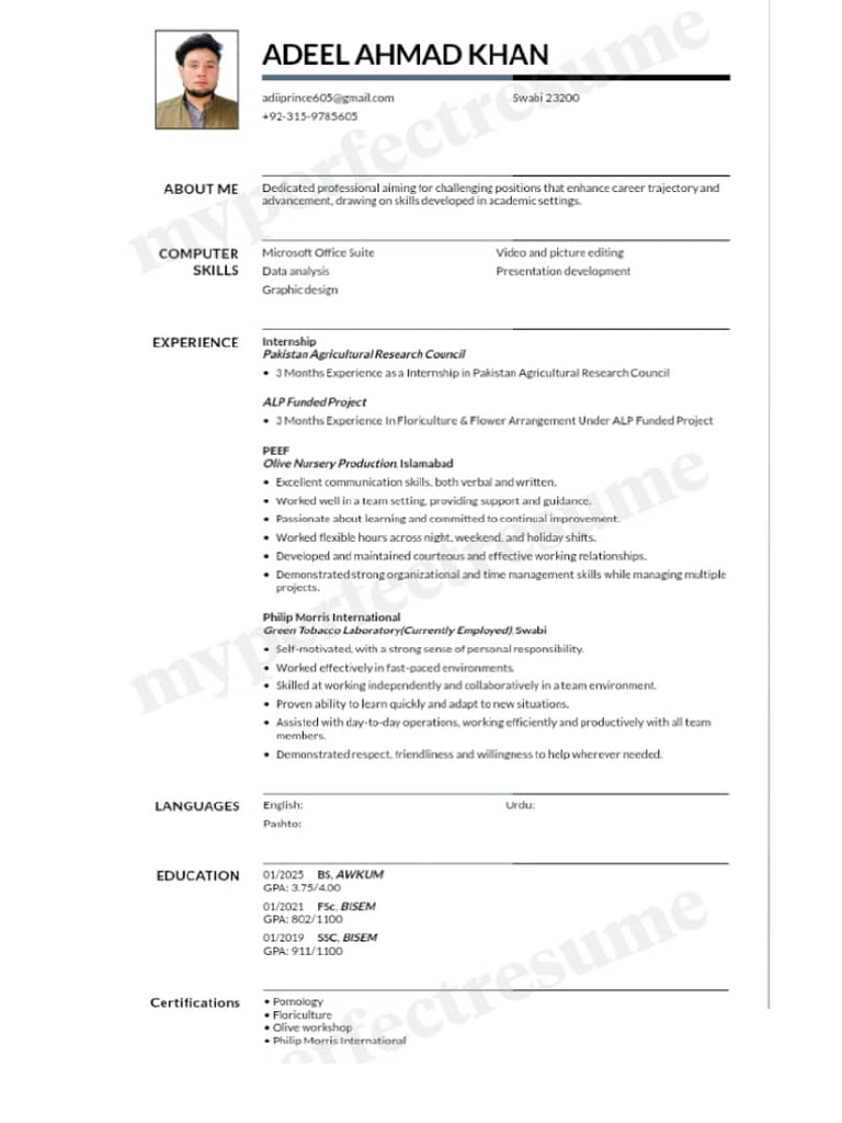 Adeel Resume | PDF