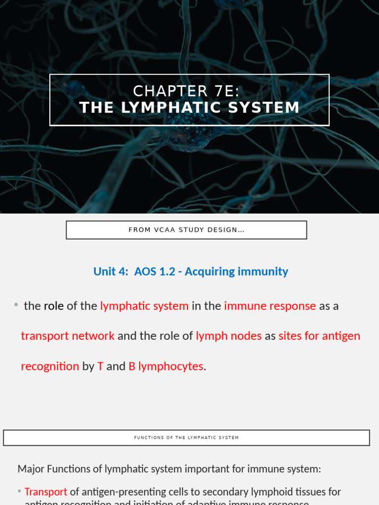 CH 7E - The Lymphatic System | PDF | Lymphatic System | Lymph