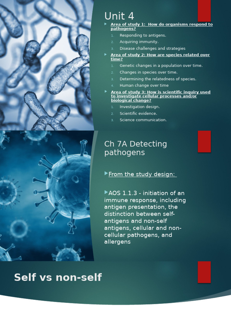 CH 7A&B - Antigens and First Line of Defence-No Solutions | PDF ...