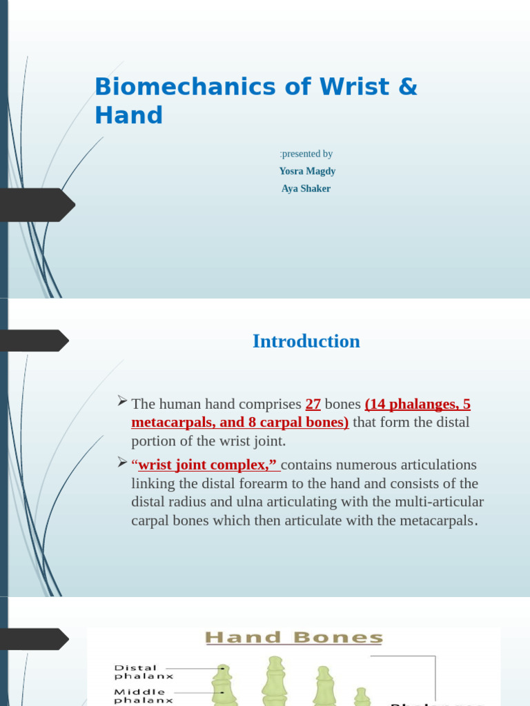 Wrist and Hand Biomechanics Explained | PDF | Hand | Anatomical Terms ...