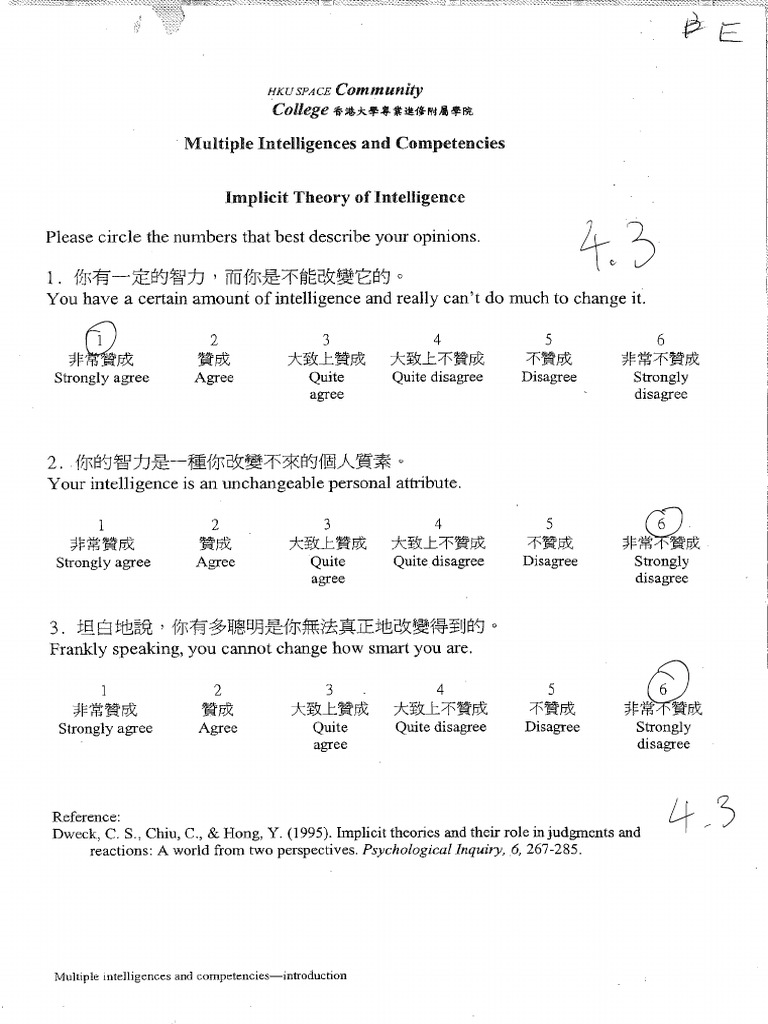 L1 Worksheet - Implicit Theory of Intelligence | PDF