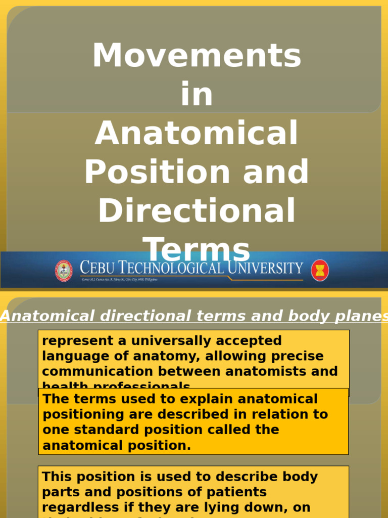Anatomical Movements and Terms | PDF | Anatomical Terms Of Motion ...