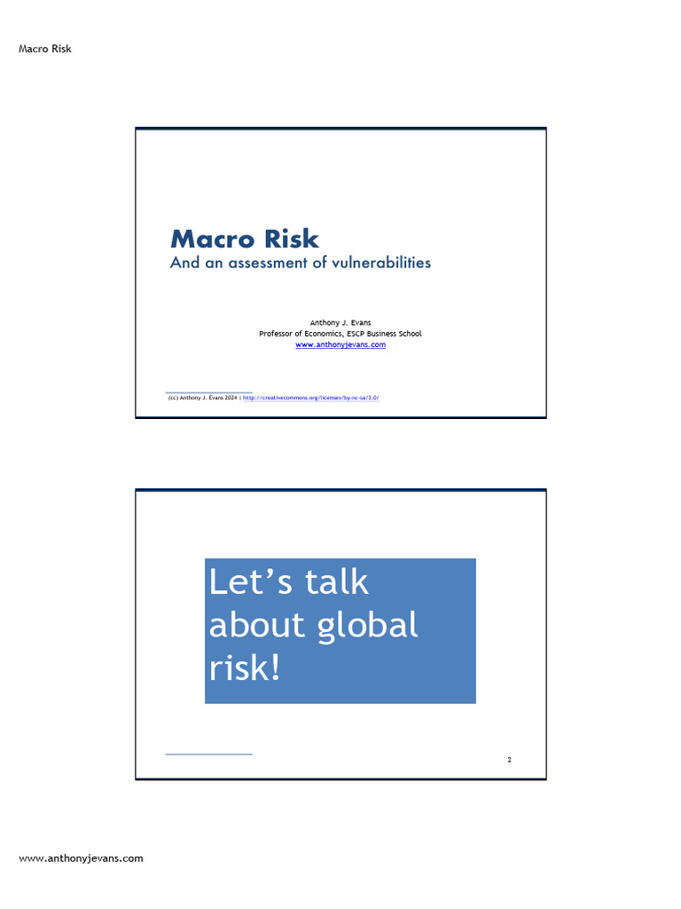 Macro Risk | PDF | Geopolitics | Pandemic