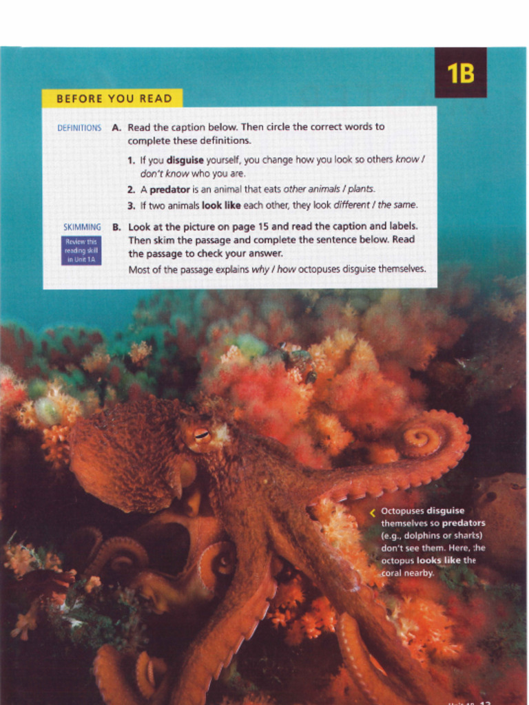 Reading 1 1b | PDF