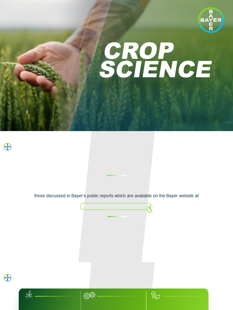 Bayer Crop Science: 2024 Market Strategy | PDF | Agriculture | Soybean