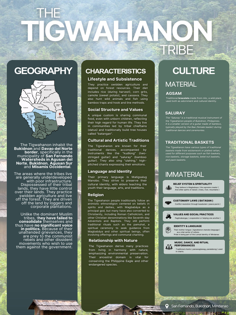 Tigwahanon Tribe - Infographics | PDF | Cultural Anthropology