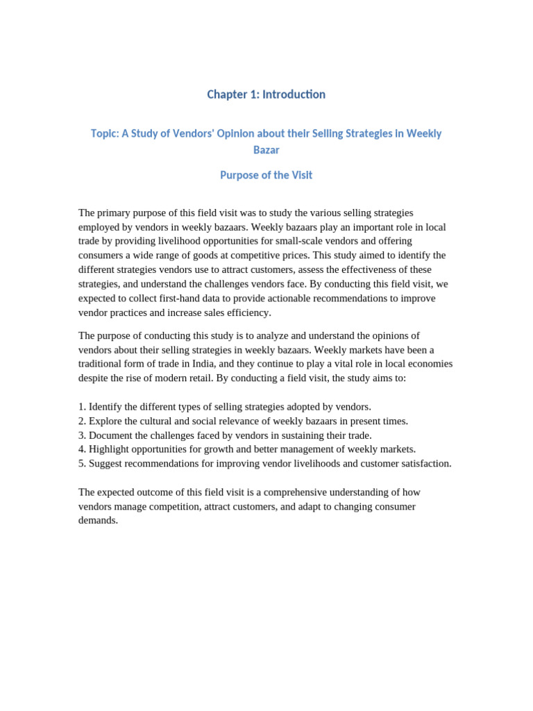 Vendor Strategies in Weekly Bazaars | PDF | Pricing | Methodology