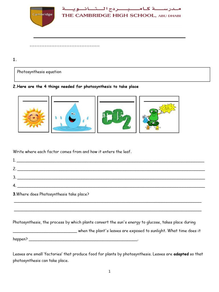 Photosynthesis and Carbon Cycle Worksheet | PDF | Greenhouse Effect ...