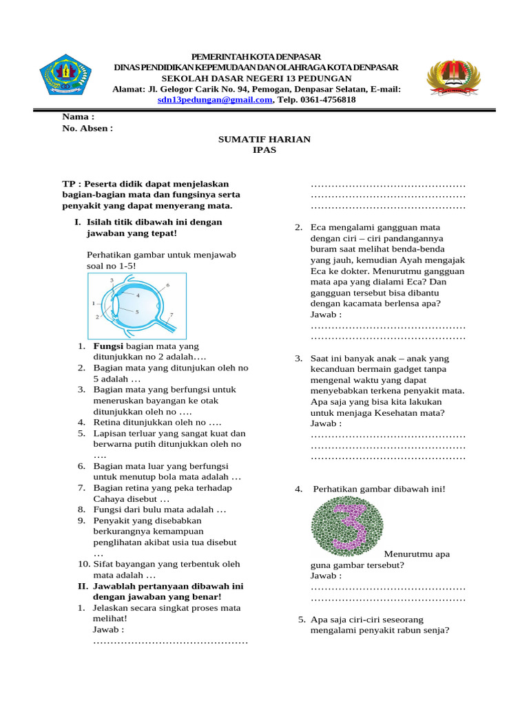 IPAS Bagian - Bagian Mata | PDF