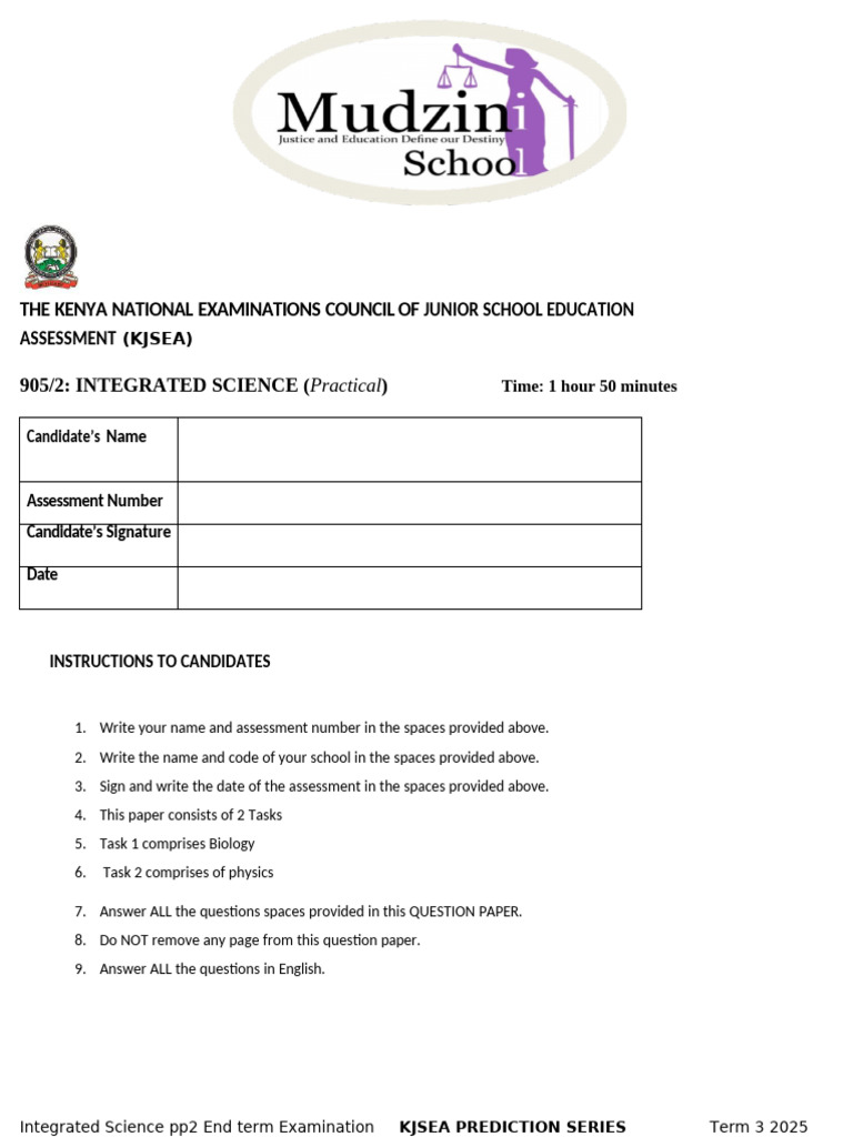 Grade 9 Integrated Science Pp2 | PDF | Mirror