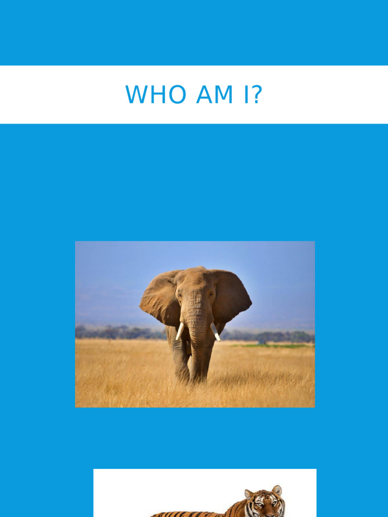 Who Am I | PDF