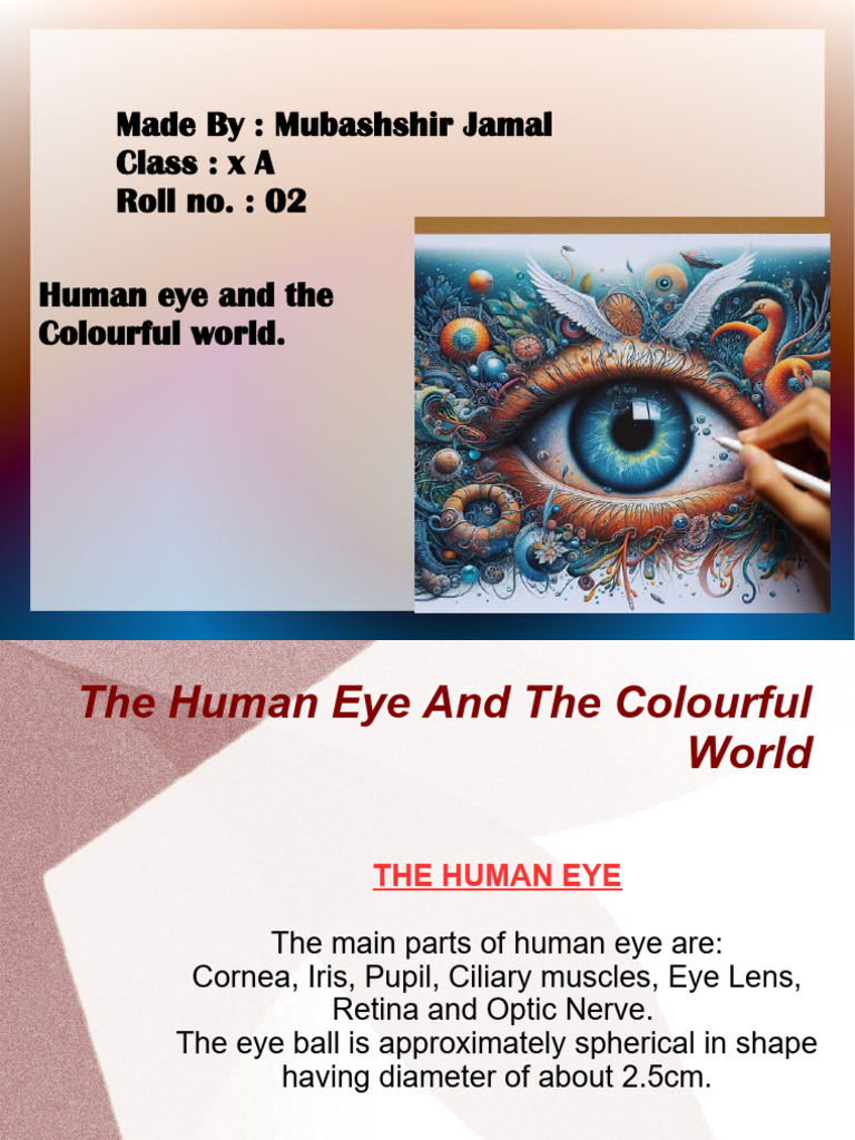 Human Eye Anatomy and Function | PDF