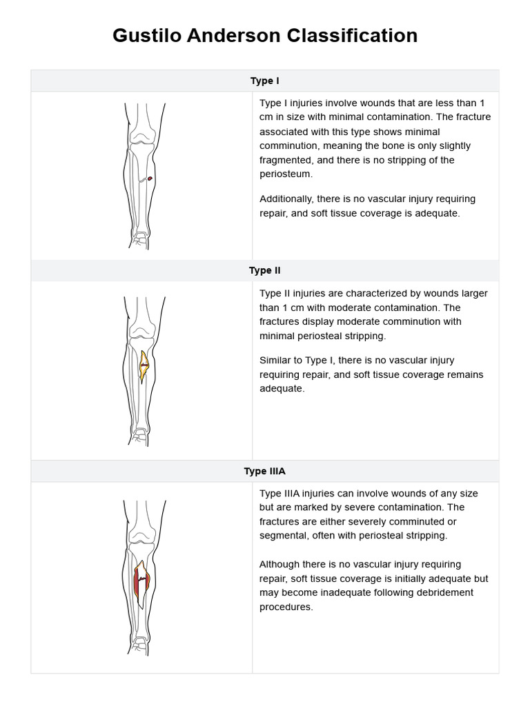 Gustilo Anderson Classification | PDF | Wound | Injury