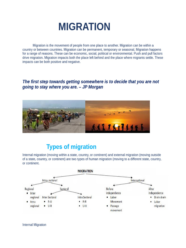 Understanding Migration Dynamics | PDF | Human Migration | Economies