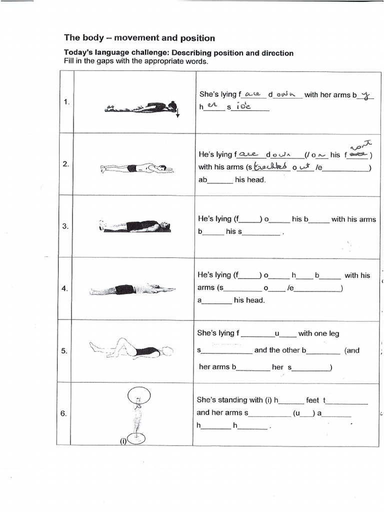 7-The Body Movements and Positions | PDF