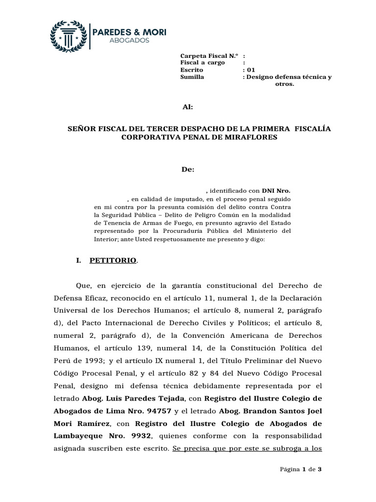 Defensa Conjunta Apersonamiento | PDF | Ley Pública | Gobierno