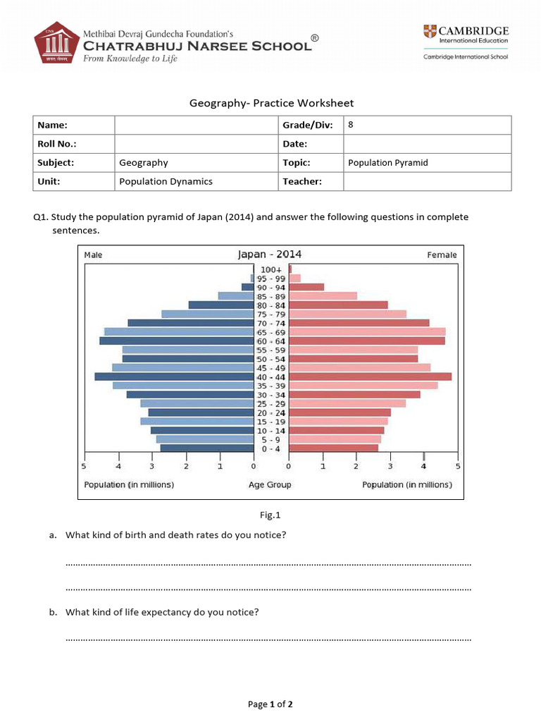 Japan Population Pyramid Analysis Worksheet | PDF