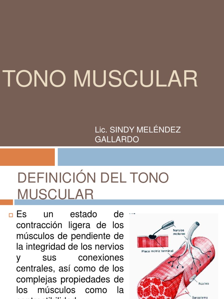 Definición y Tipos de Tono Muscular | PDF | Músculo | Pie