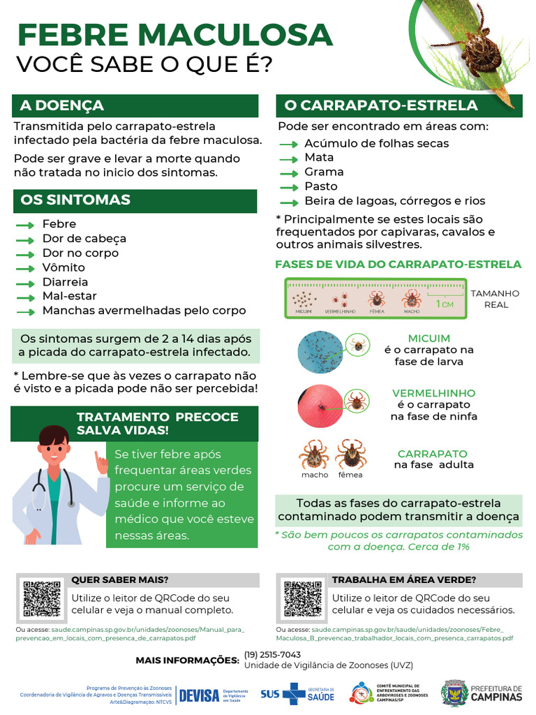Fases e Cuidados com o Carrapato-Estrela | PDF
