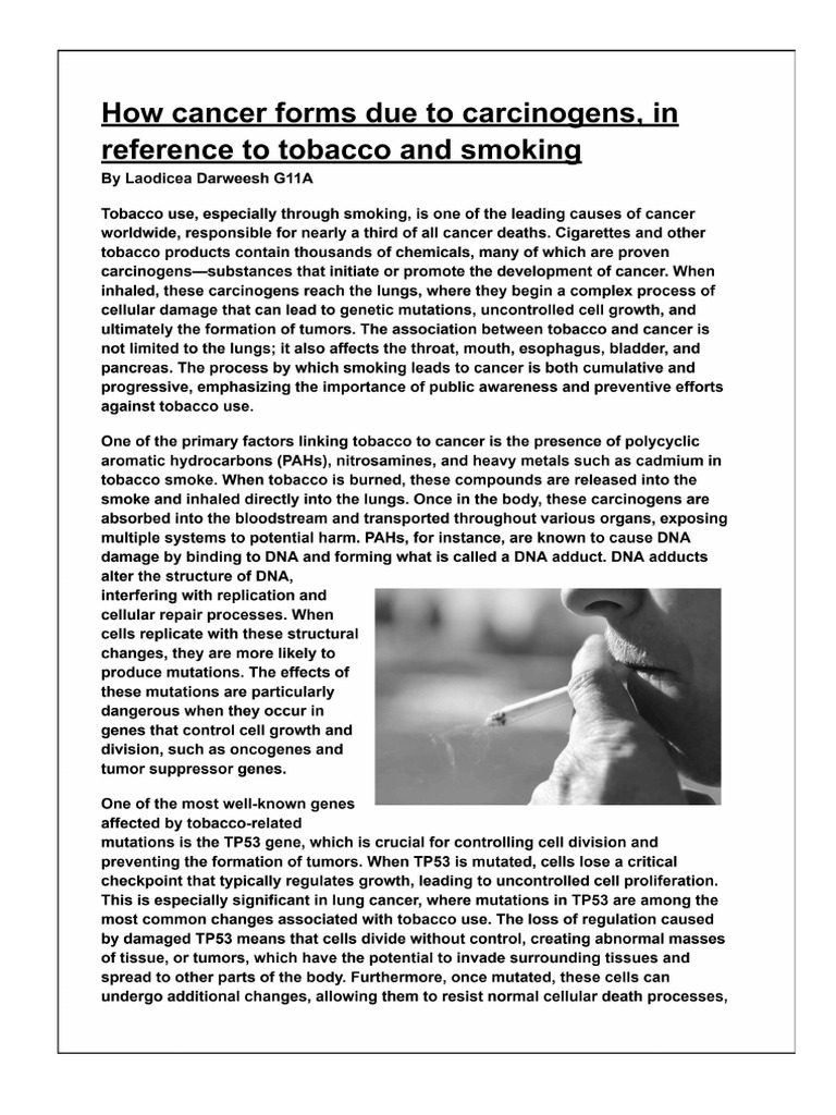 How Cancer Forms Due To Carcinogens, in Reference To Tobacco and ...