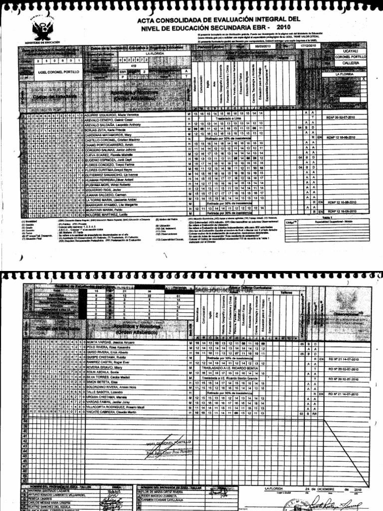2010 Vargas Faman | PDF