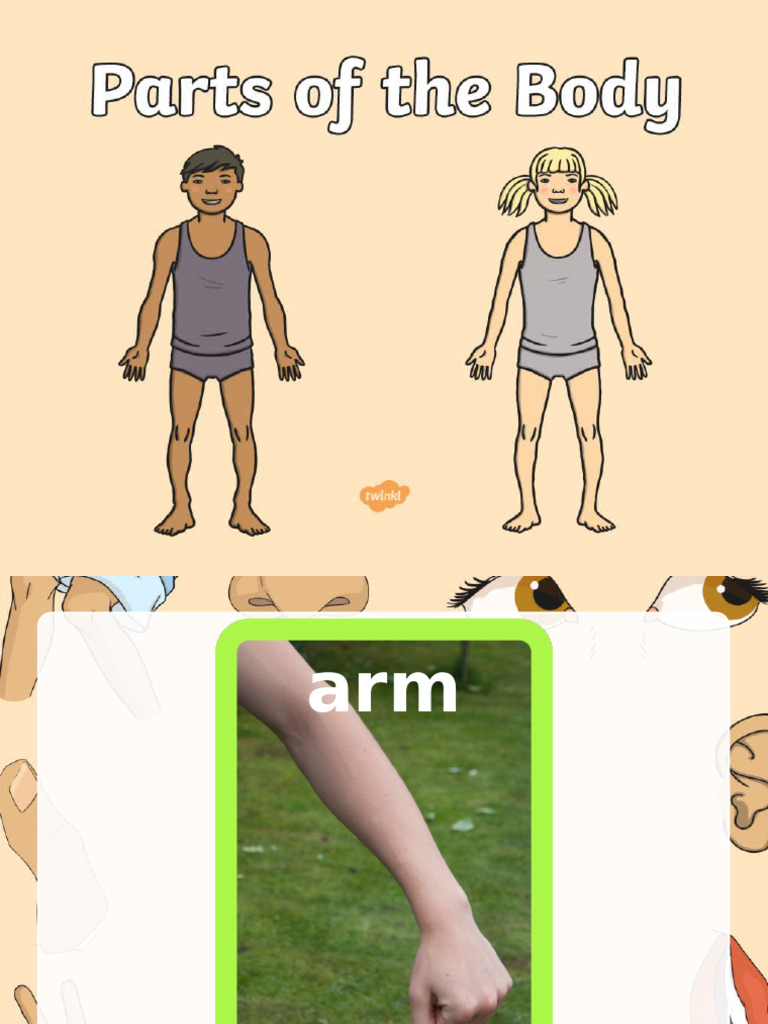 Unit 3 Parts of The Body | PDF