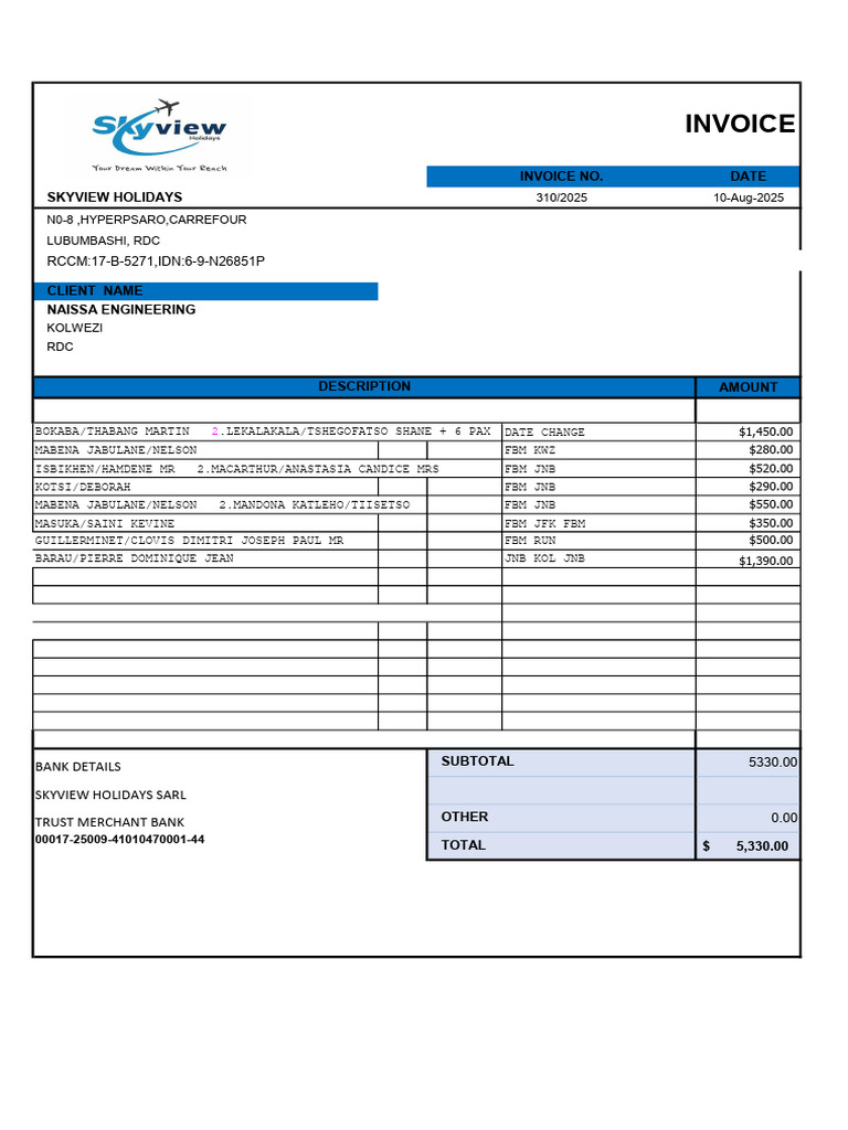 INV Skyview | PDF