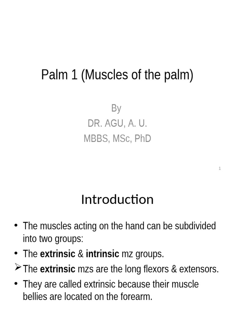 Palm 1 (Muscles of The Palm) | PDF | Thumb | Hand