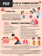 Regla de Wallace para Quemaduras | PDF | Anatomía humana | Anatomía de ...