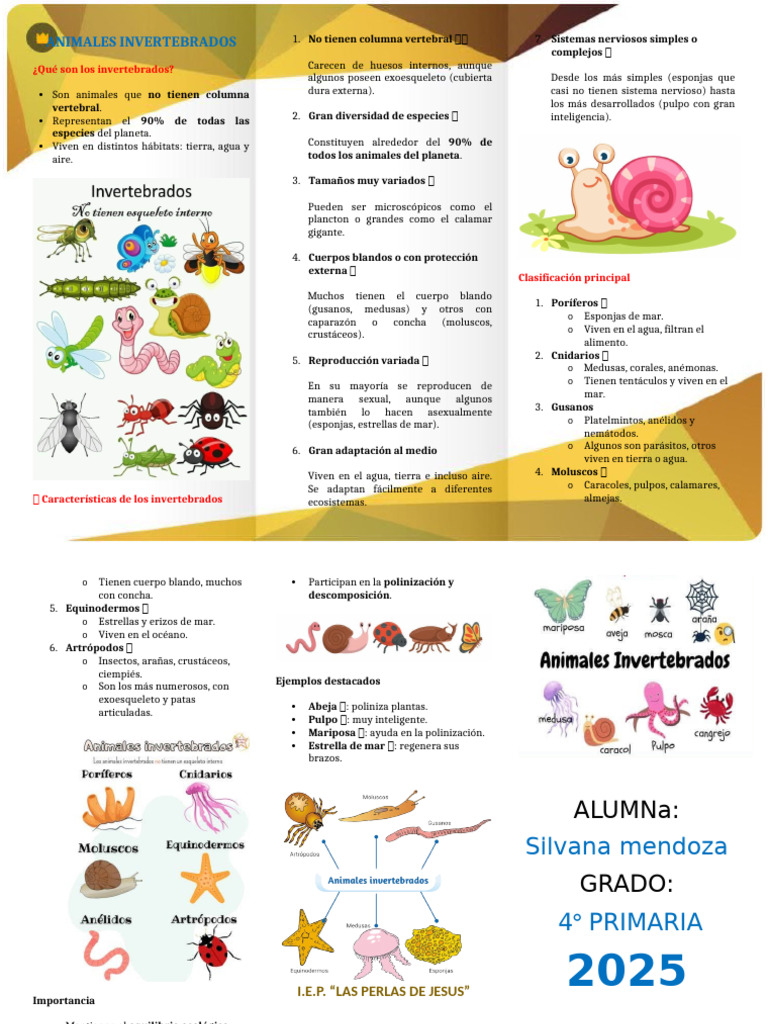 Características y Clasificación de Invertebrados | PDF | Invertebrado ...