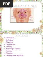 MRI Protocol for Paranasal Sinuses | PDF | Anatomy | Human Anatomy
