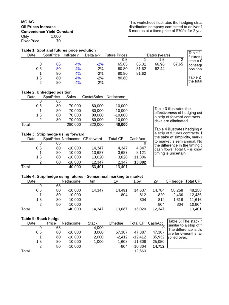 MG Case Spreadsheet Rev2 | PDF | Hedge (Finance) | Business