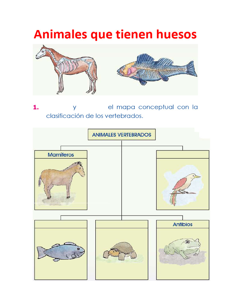Ficha Animales Vertebrados y Invertebrados Primer Grado | PDF