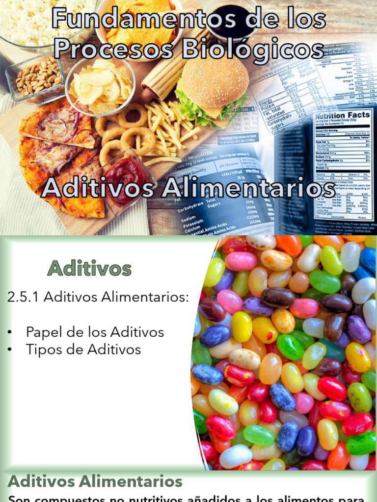 Aditivos Alimentarios: Tipos y Funciones | PDF | Alimentos | Panes