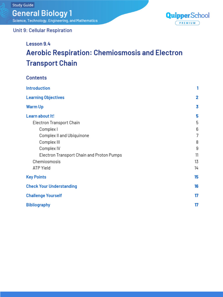 Aerobic Respiration: Electron Transport Chain | PDF | Electron ...