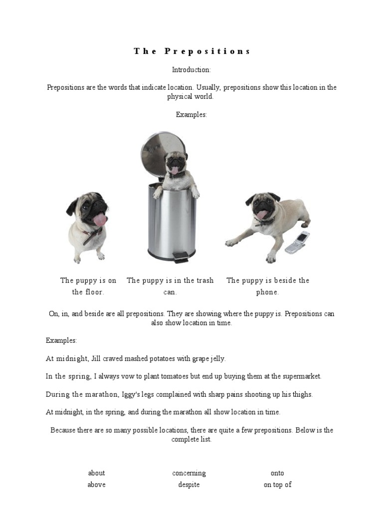 The Prepositions | PDF | Preposition And Postposition | Verb
