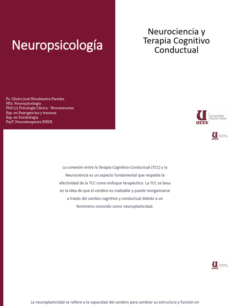 TCC y Neuroplasticidad: Efectos en el Cerebro | PDF | Terapia de ...